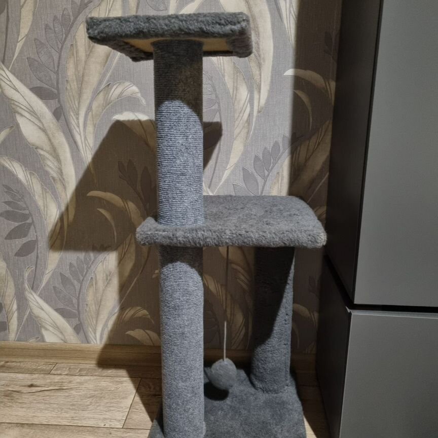 Когтеточка