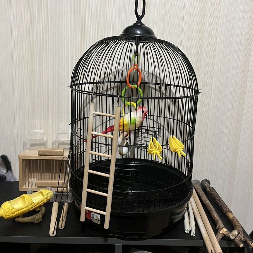 Клетка для попугая бу