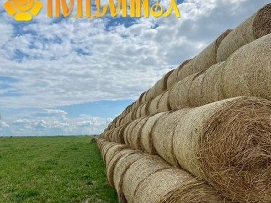 Сено, Сено в кипах и рулонах