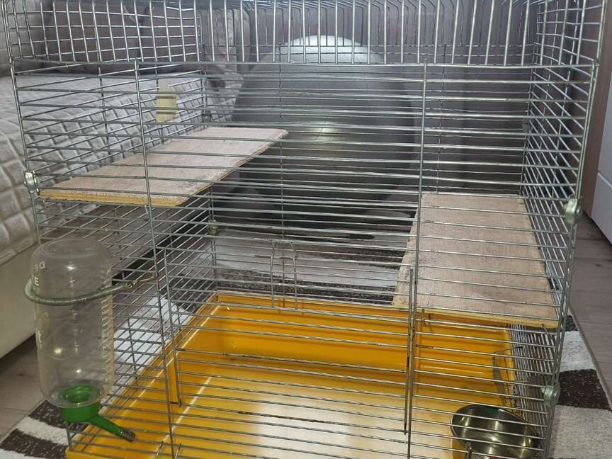 Клетка для шиншиллы бу