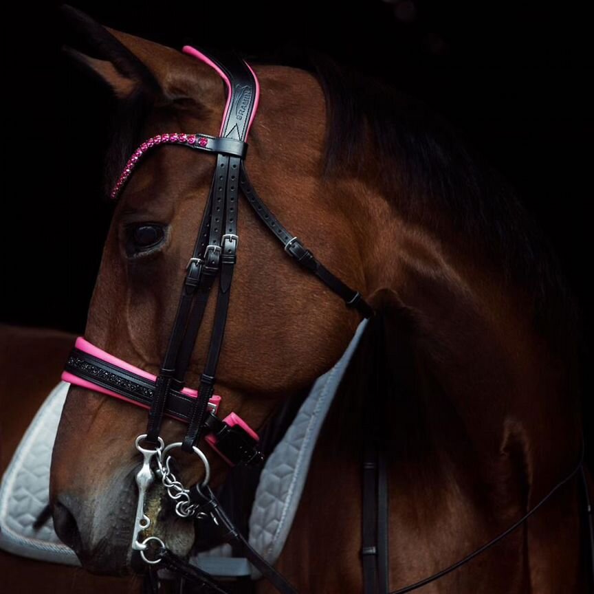 Мундштучное оголовье