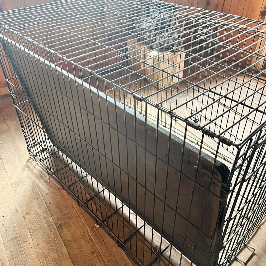 Клетка доя собак