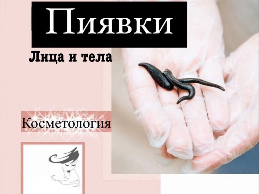 Пиявки