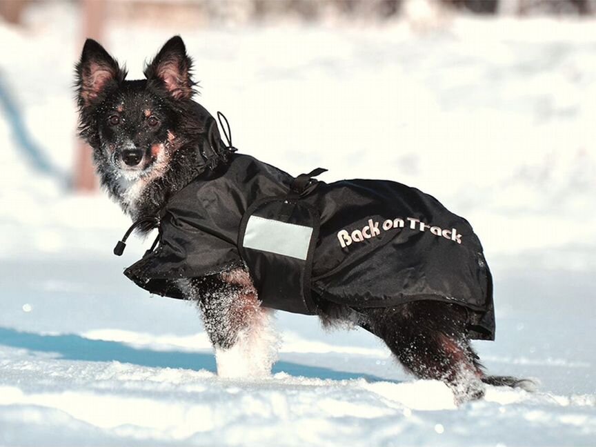 Попоны Back On Track Winter