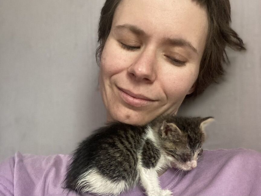 Котята