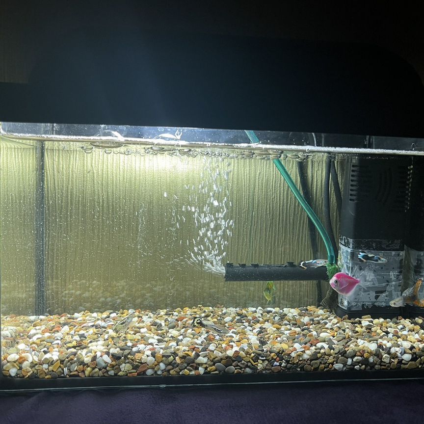 Аквариум с рыбками 7,5 л