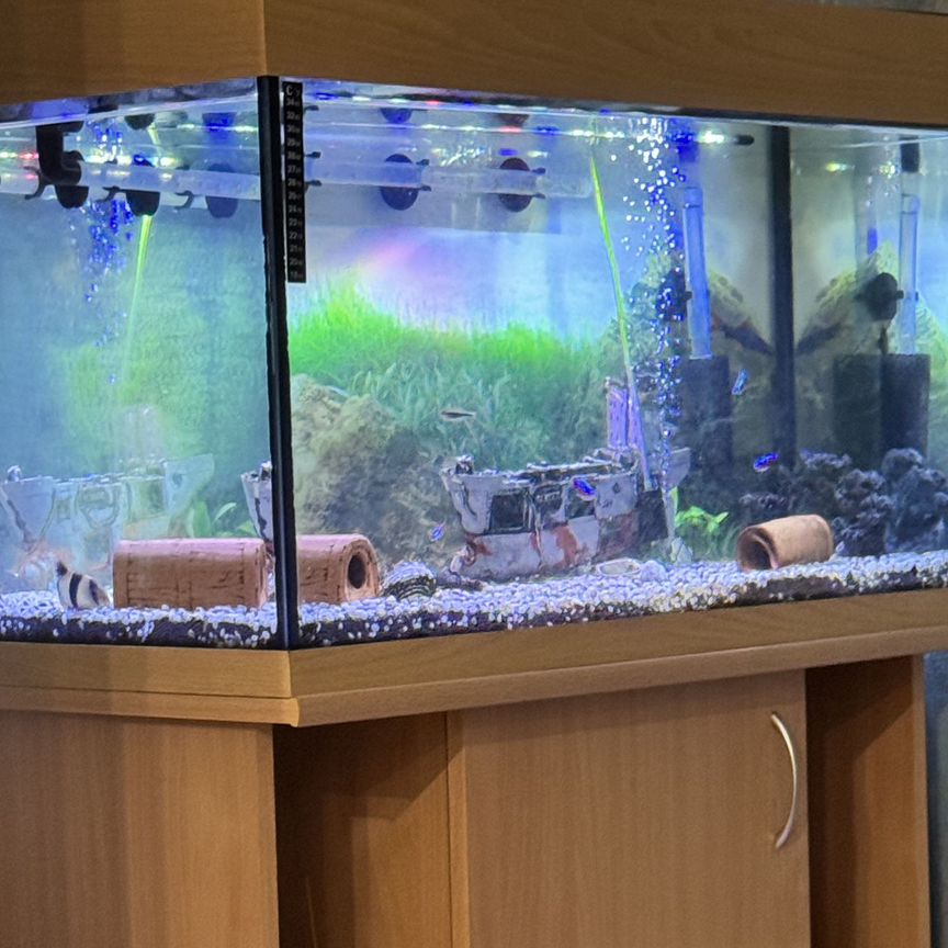 Аквариум с тумбой рыбками и оборудованием 140л