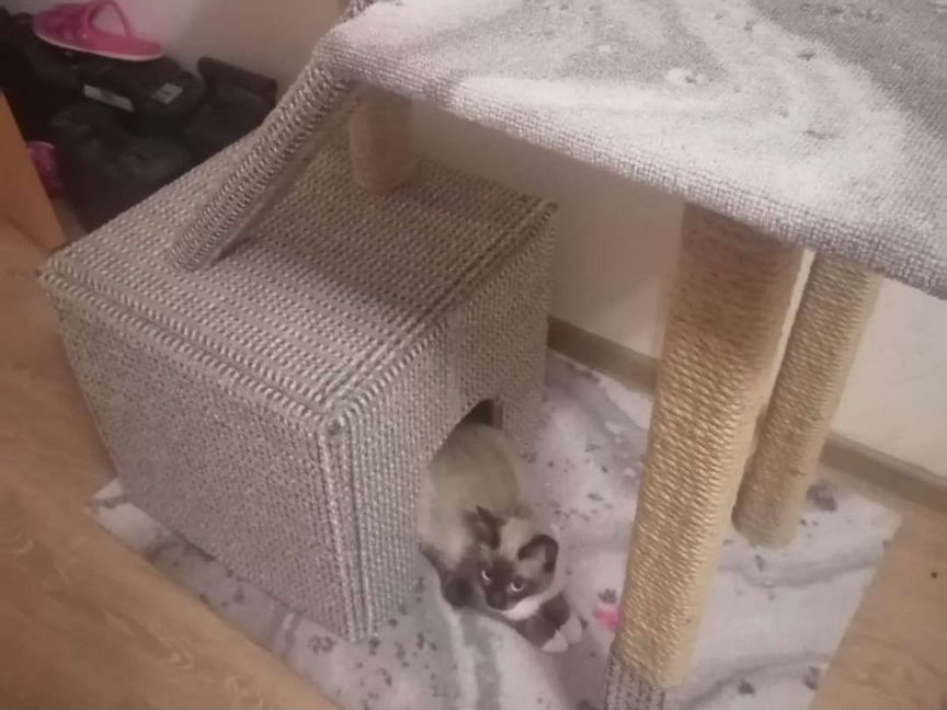 Домик для кошки