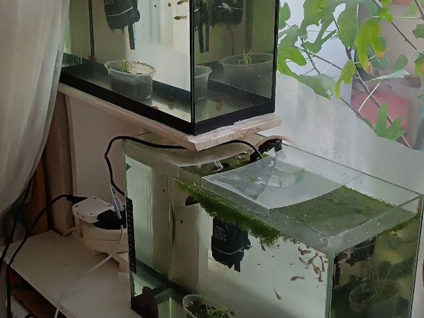 3 аквариума, 15 и 20 и 40 л