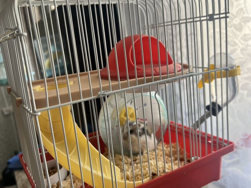Клетка для хомяка