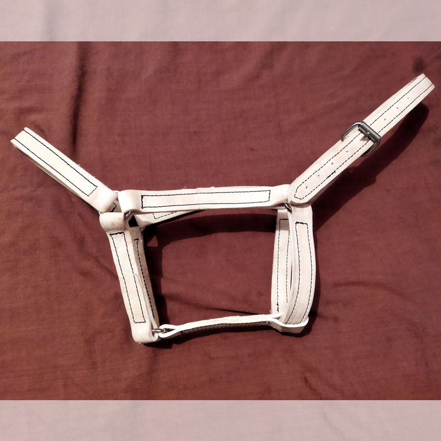 Недоуздок из кожи сыромять кожаный недоуздок