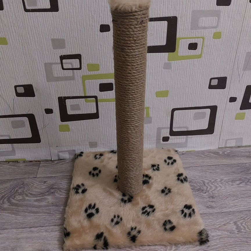 Когтеточка