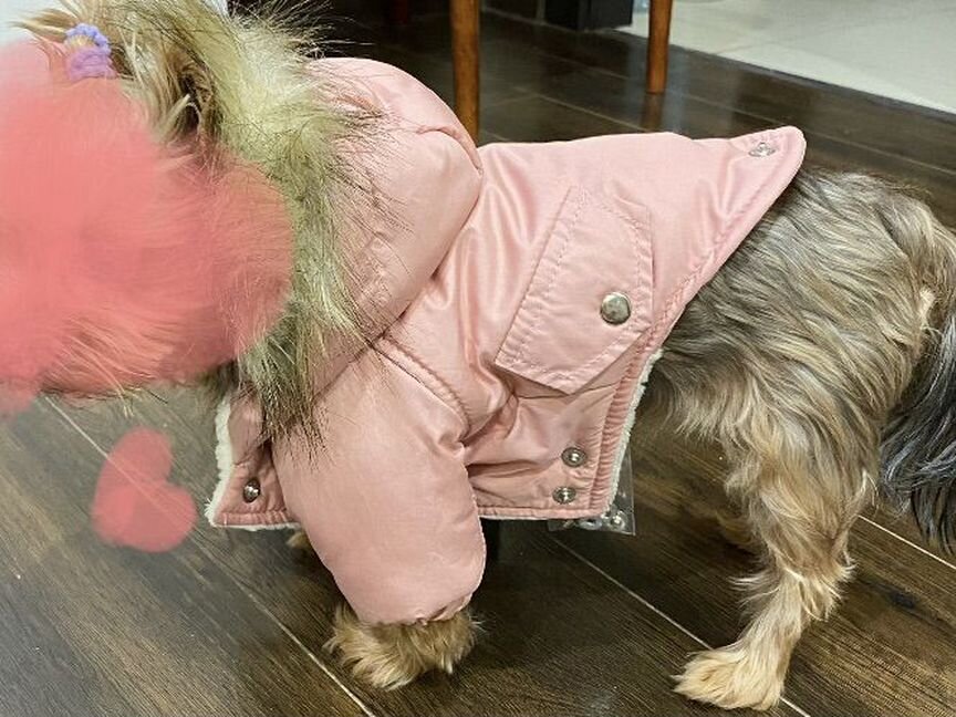 Зимняя куртка для собак S