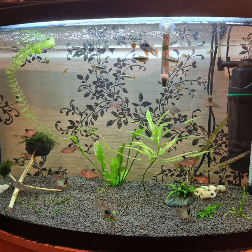 Аквариум 72л