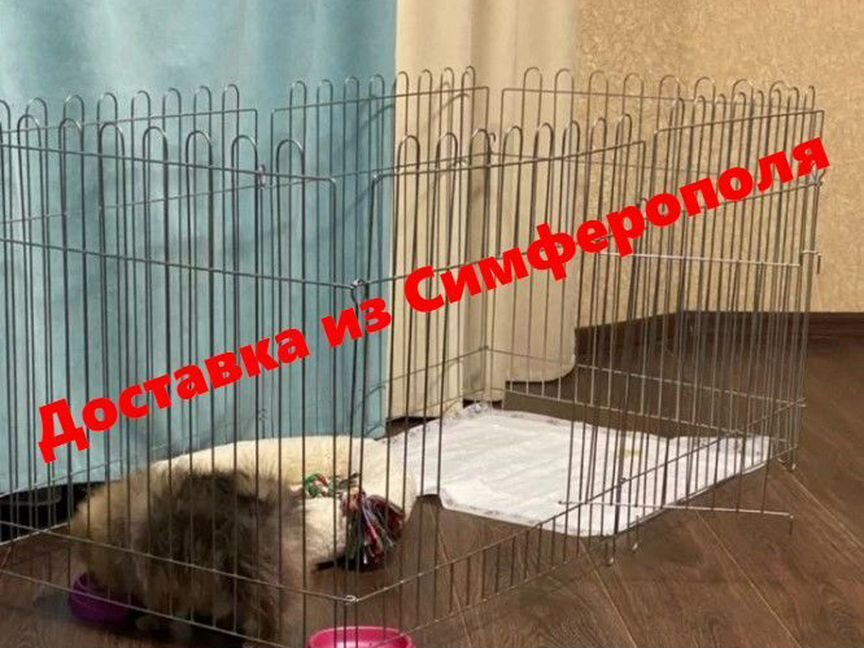 Вольер для собак доставка в Саки