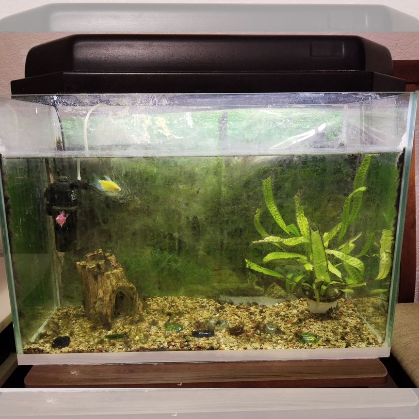 Аквариум на 70 литров