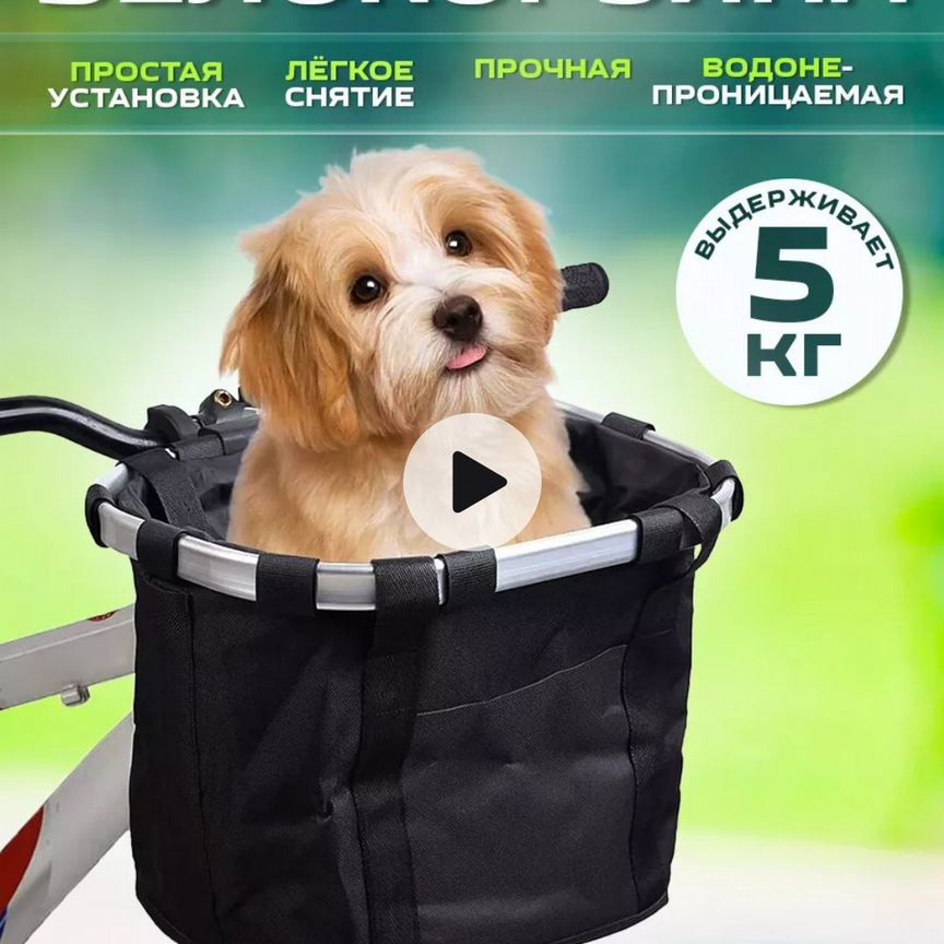 Велокорзина для собак