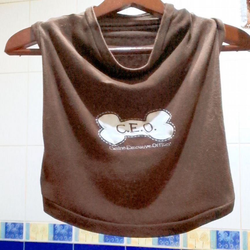 Кофта для средней собаки