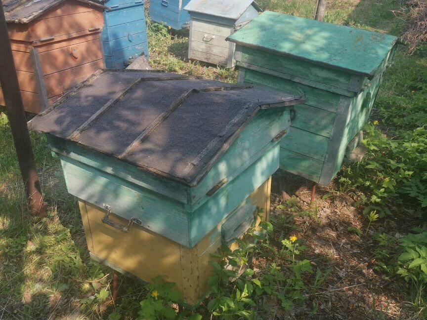 Теплые Ульи для пчел (зимний вариант)