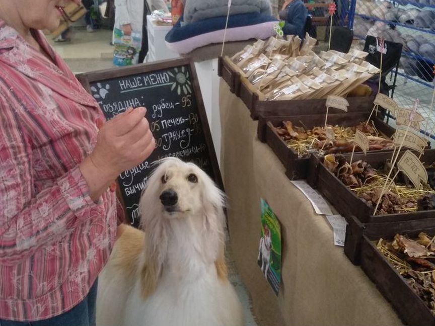 Лакомства для собак