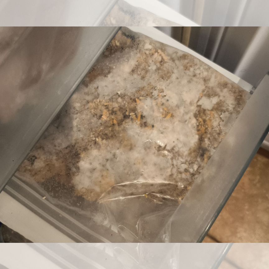 Корм (мешанка) для насекомоядных птиц