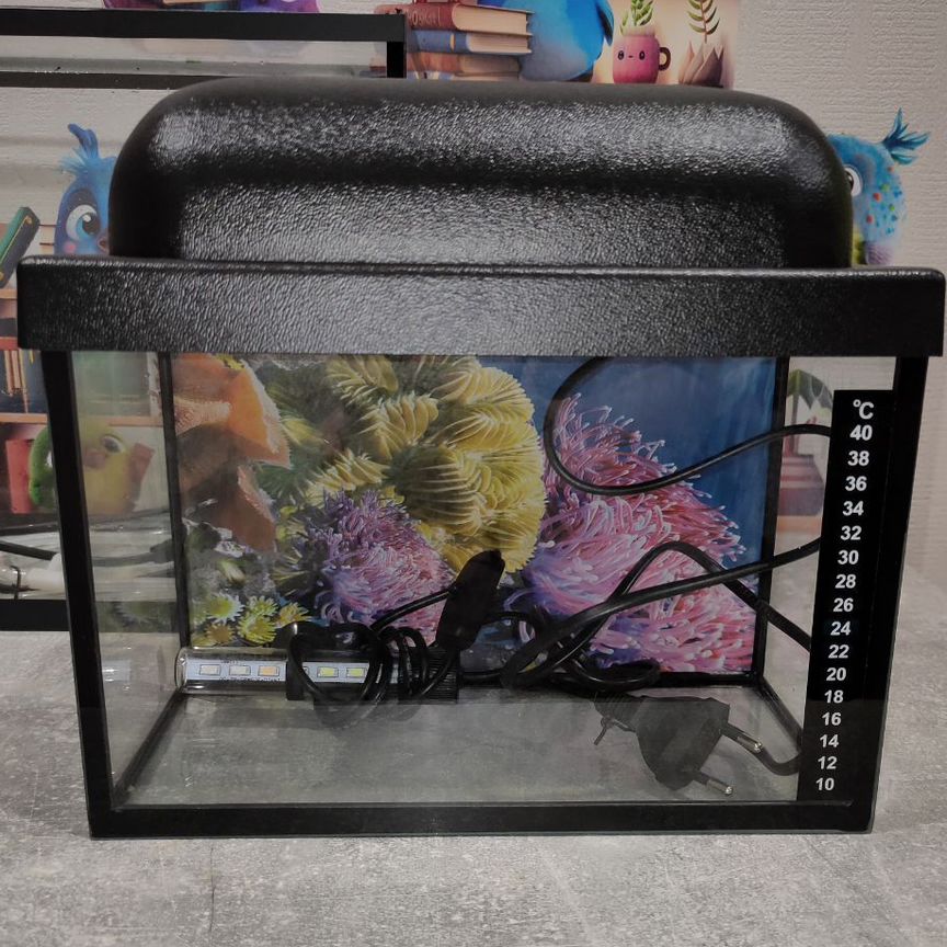 Аквариум на 5 литров и на 20 литров