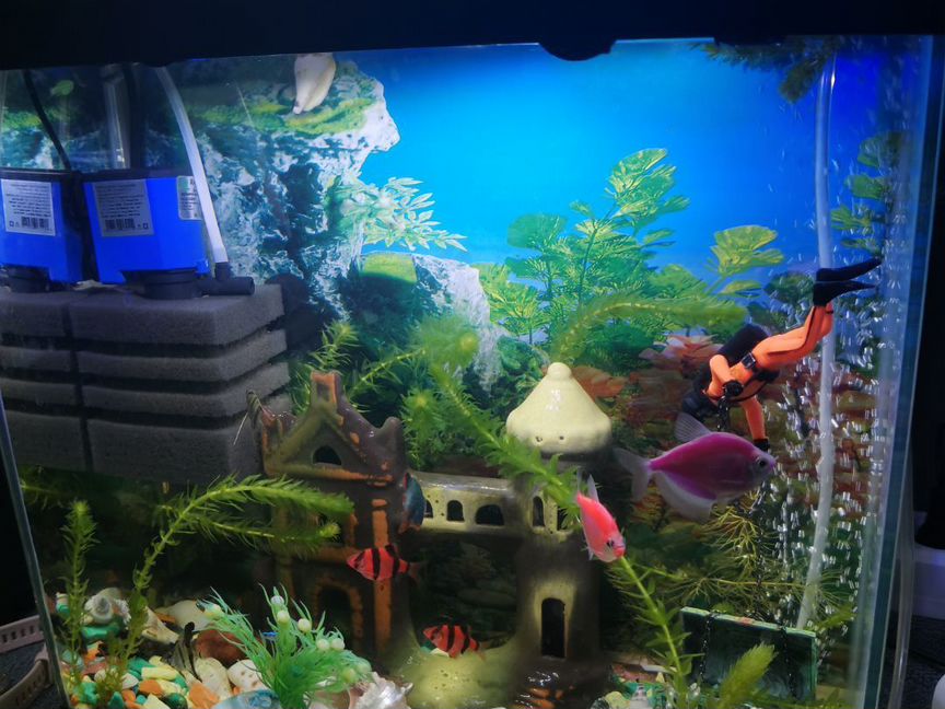 Аквариум