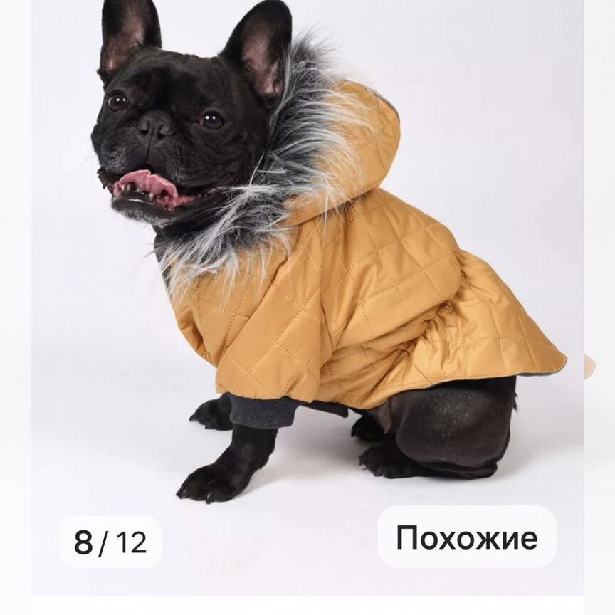 Чудесный пуховик для собаки. Нам оказался мал