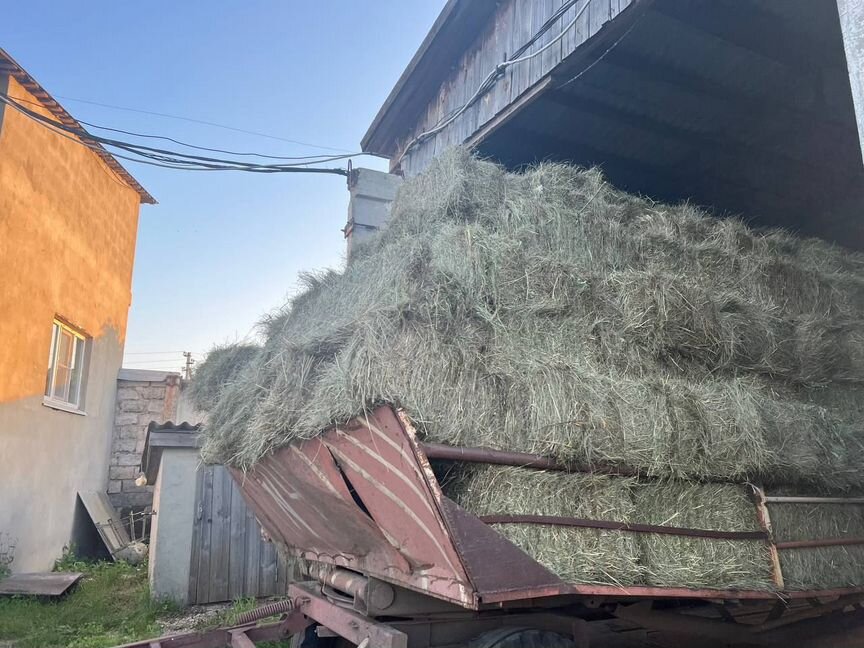 Сено луговое в тюках бесплатная доставка