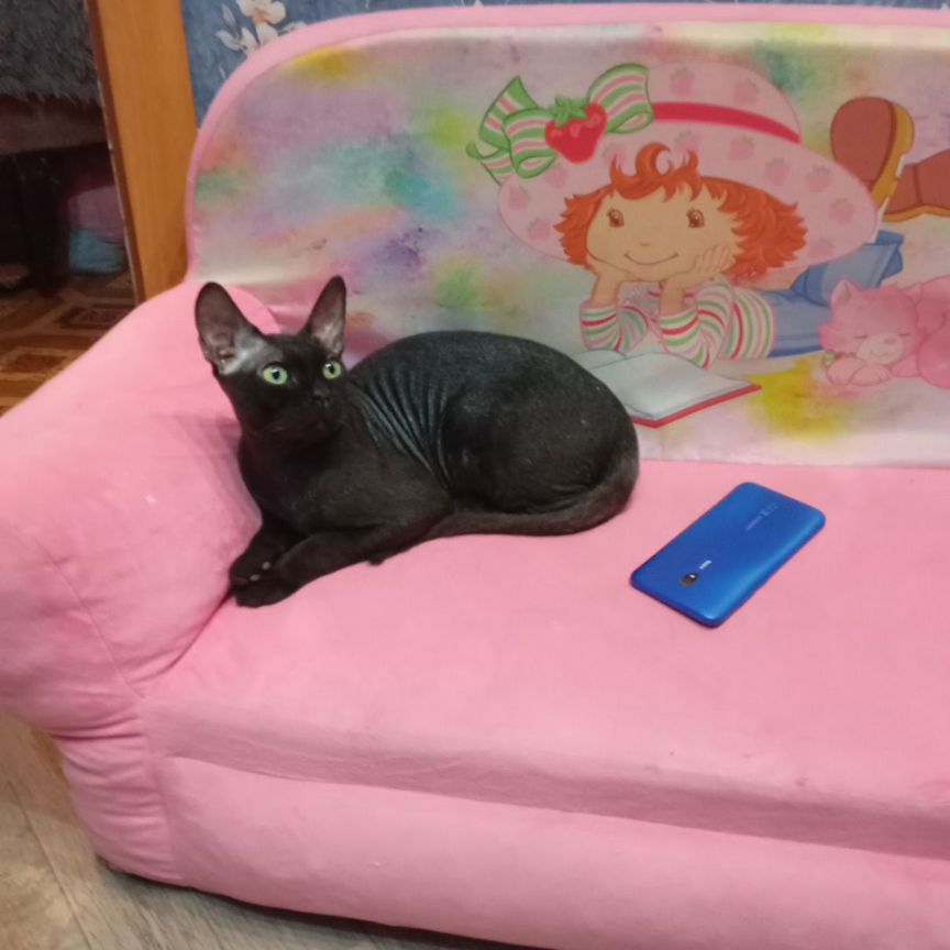 Ищем невесту