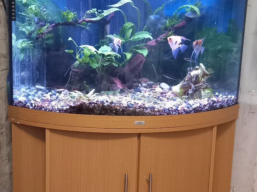 Аквариум Juwel 190 с тумбой