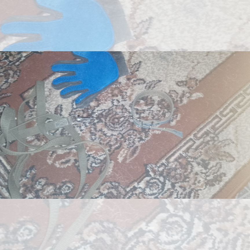 Комплект для собаки