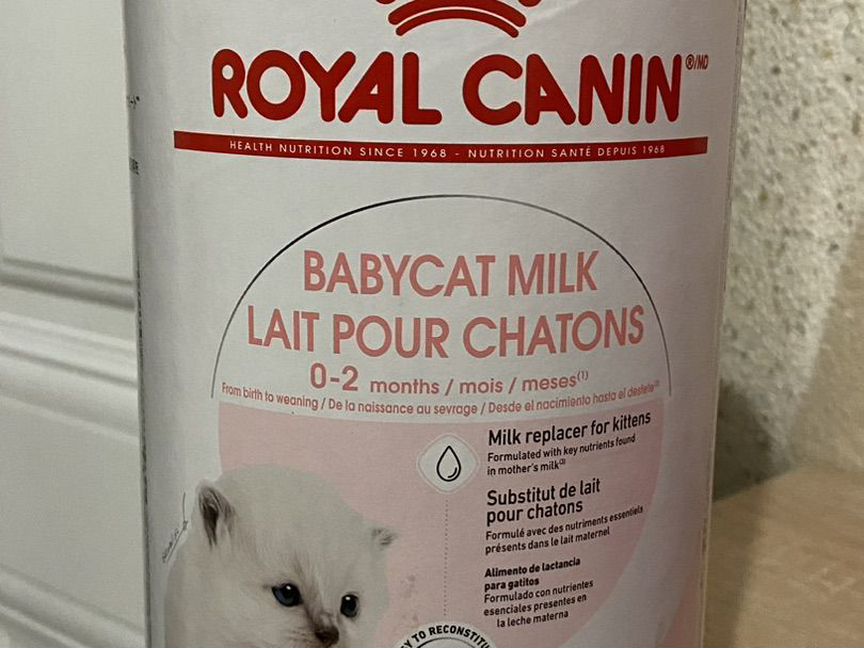 Корм для котят royal canin