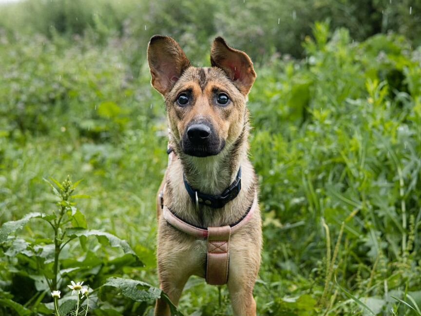 Особенная малышка очень нуждается в семье