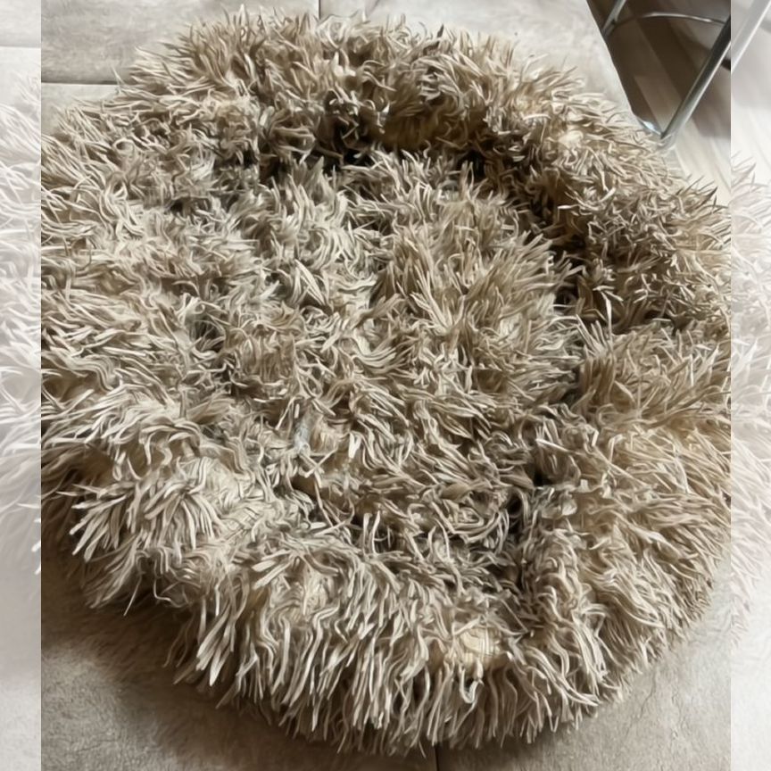 Лежанка для животных бу