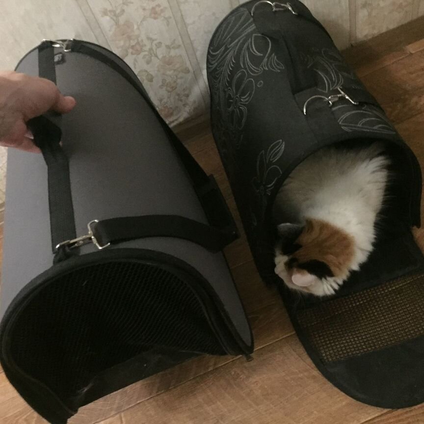 Переноска для кошек - аренда