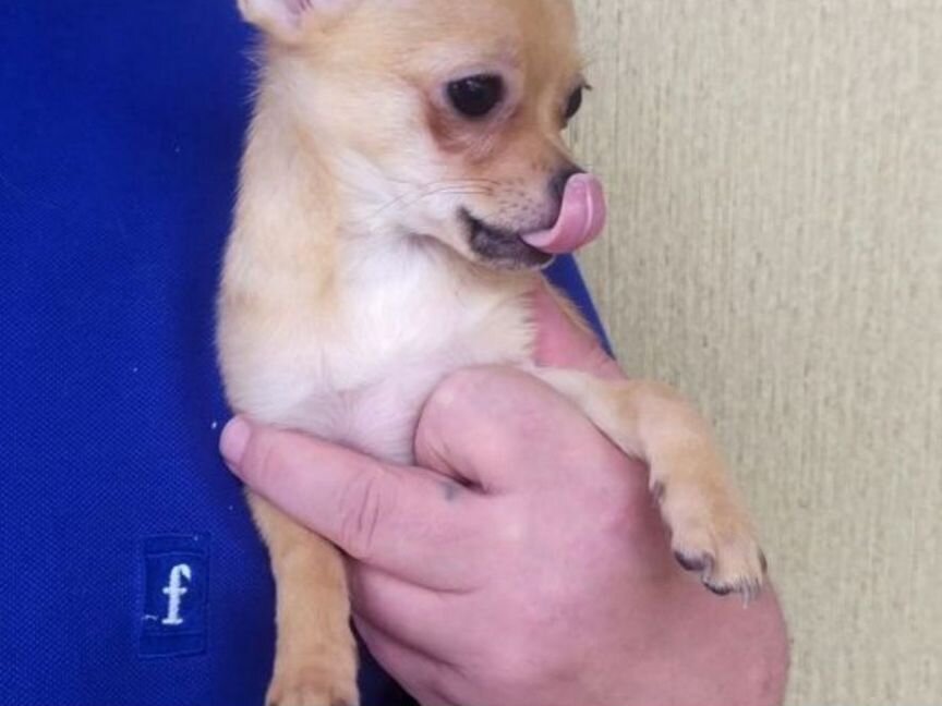 Девочка мини