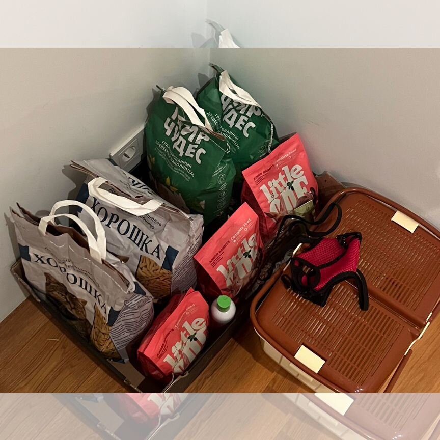 Корм, наполнитель, переноска для кролика / кошки