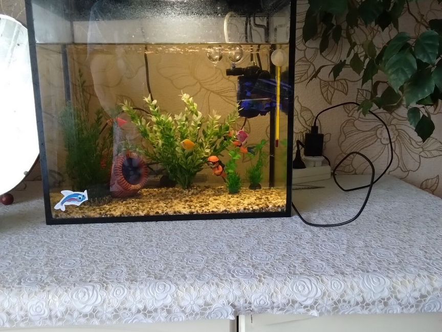 Аквариум 25 литров