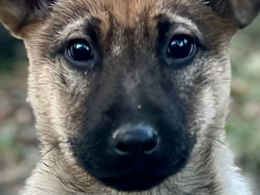 В самые добрые и надежные руки