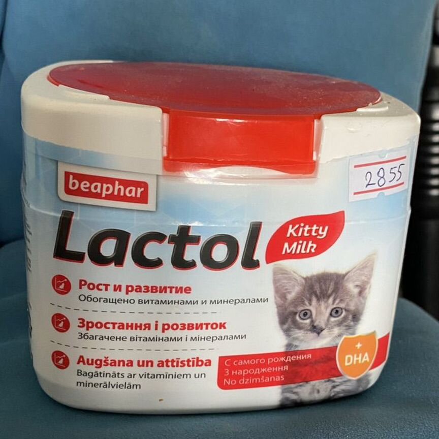 Сухое молоко для котят