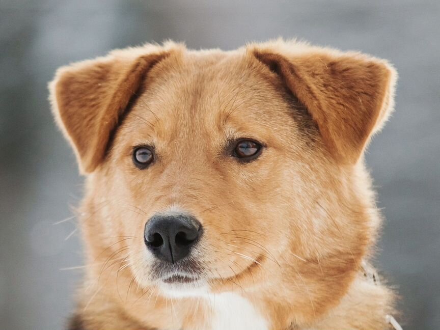 Ее выбросили на холод