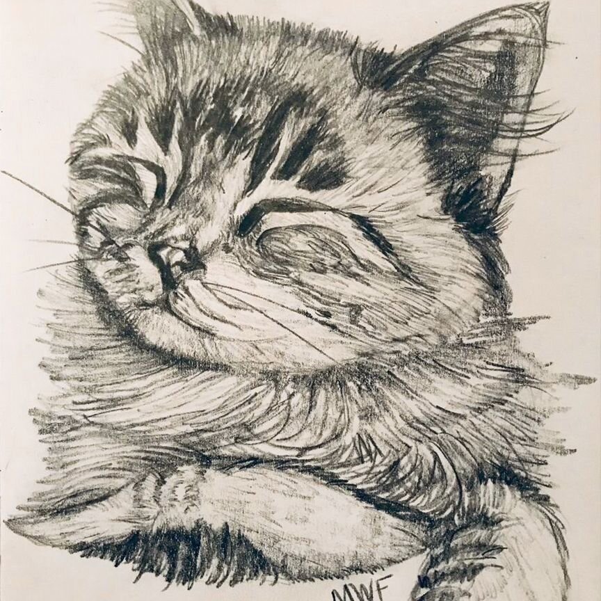 Рисую ваших питомцев