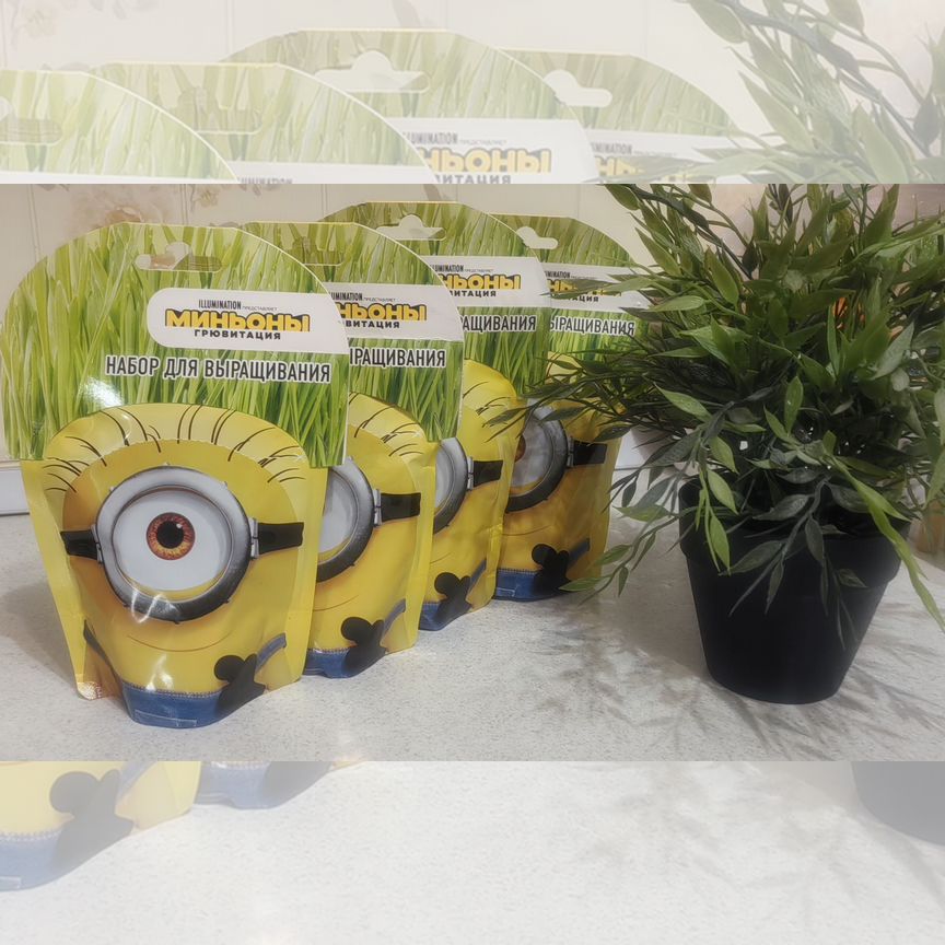 Семена набор "миньоны" опыты, трава для кошек