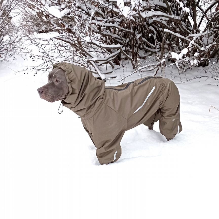 Зимний комбинезон для собаки, девочка. Спина 49-53