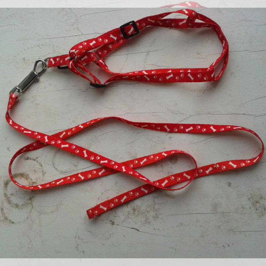 Поводок для маленьких собак