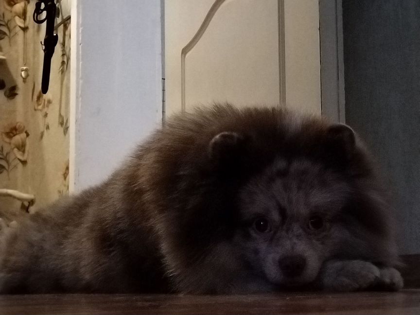 Мужчина в поисках любви