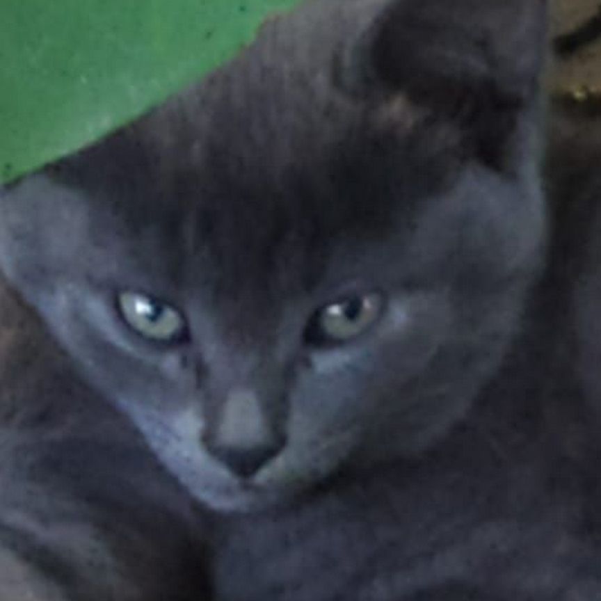 Самые сладкие комочки