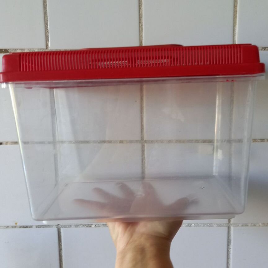 Аквариум пластик