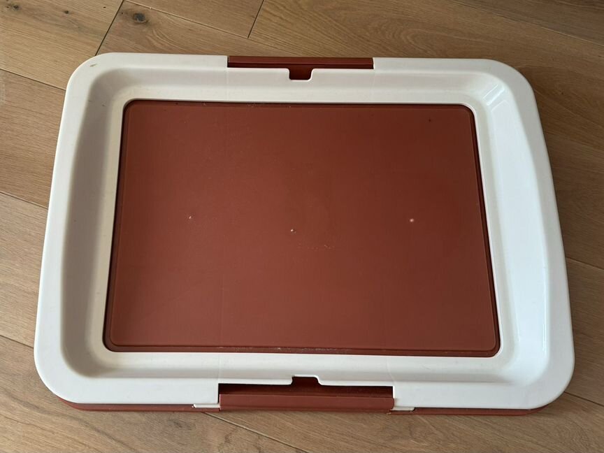 Лоток доя собак